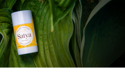 Satya Organic | Simply Natural Skincare for Eczema & Dry Skin – Satya ...